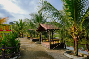 Home - Cholo-Cholo Hotsprings